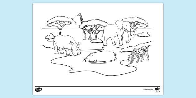 FREE! - African Animals Colouring Page Children | Colouring Sheets