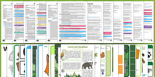 EYFS Forest and Woodland Adult Input Planning and Resource Pack