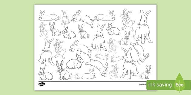 Rabbit Doodle Colouring Page (creat de profesori) - Twinkl