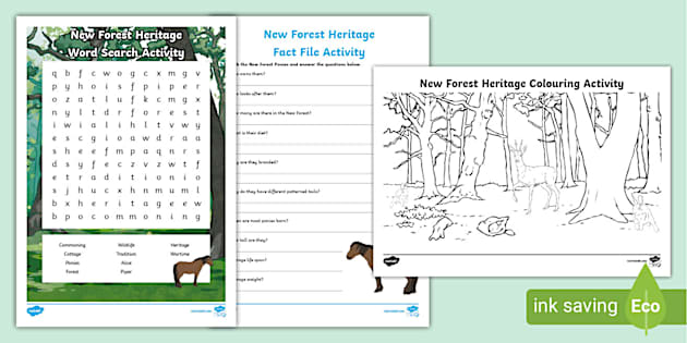 New Forest Heritage Activity Pack | Twinkl Resources
