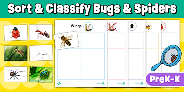 Sort and Classify Bugs and Spiders Activity for PreK-K