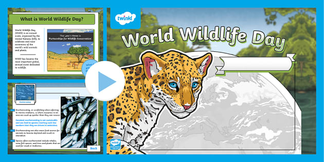 FREE! - KS2 World Wildlife Day PowerPoint (teacher made)