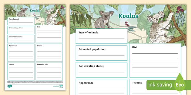 Koalas Fact File Template (creat de profesori) - Twinkl