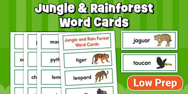 Jungle and Rainforest Word Cards