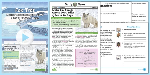 UKS2 Arctic Fox Daily News Resource Pack (teacher made)