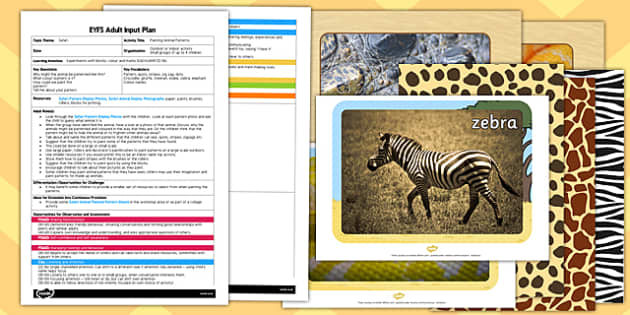Painting Animal Patterns EYFS Adult Input Plan And Resource Pack - plans