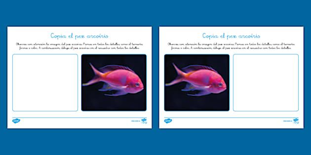 Ficha de actividad: Copia el pez arcoíris (Teacher-Made)