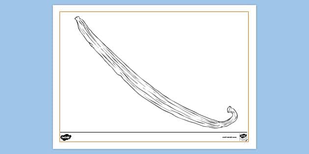 Vanilla Pod Colouring Sheet | Colouring Sheets - Twinkl