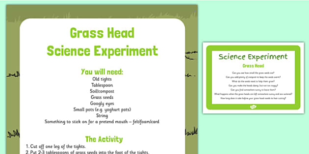 Grass Head Science Experiment - Growing, EYFS, water, sun, grass head