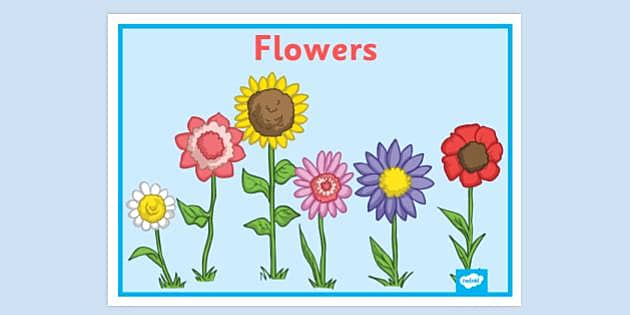 FREE! - Floral Display Poster | Display Posters - Twinkl