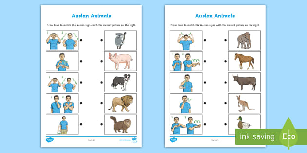 Auslan Animals Matching Activity (teacher made)