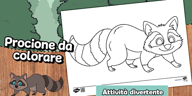 Foglio da colorare: Procione - Twinkl Italia - Twinkl