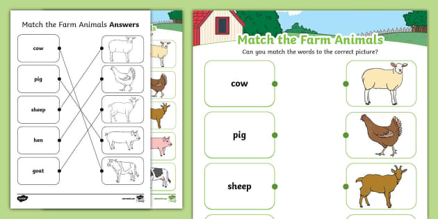 Farm Animals Matching Worksheet (professor feito) - Twinkl Farm Animals Matching Worksheet (professor feito) - Twinkl