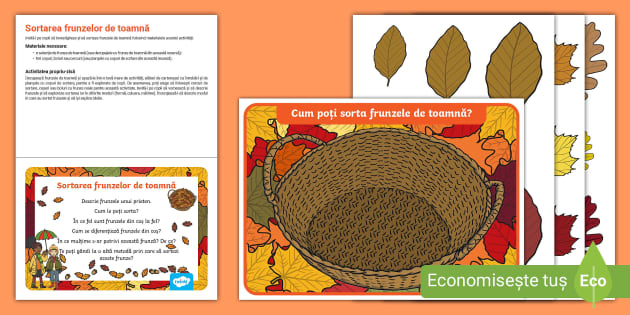 Coșul cu frunze – Activitate de sortare - Twinkl