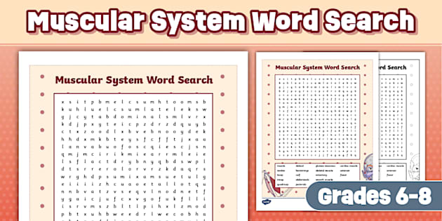 Muscular System Life Science Word Search for 6th-8th Grade