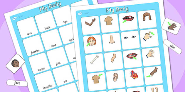 My Body Vocabulary Matching Mat (professor feito) - Twinkl