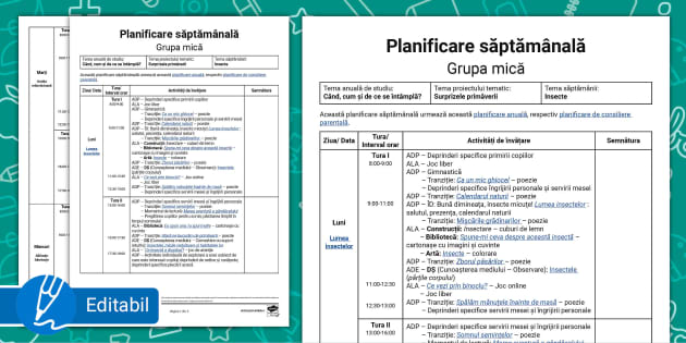 FREE! - Insecte – Model de planificare săptămânală grupa mică