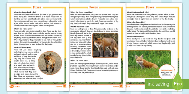 KS1 Fox Information Fact File - Differentiated Resources