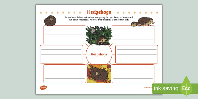 Hedgehogs Mind Map (teacher made)