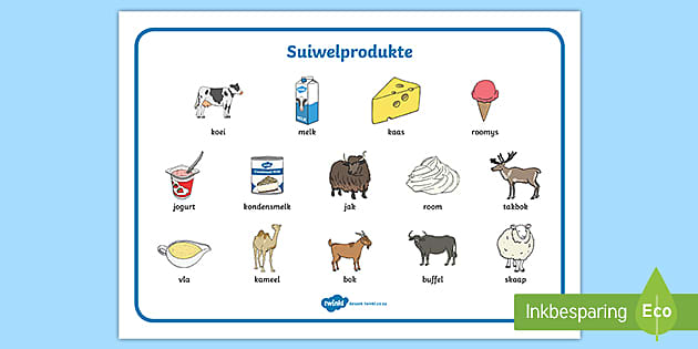 Suiwelprodukte Woordmat