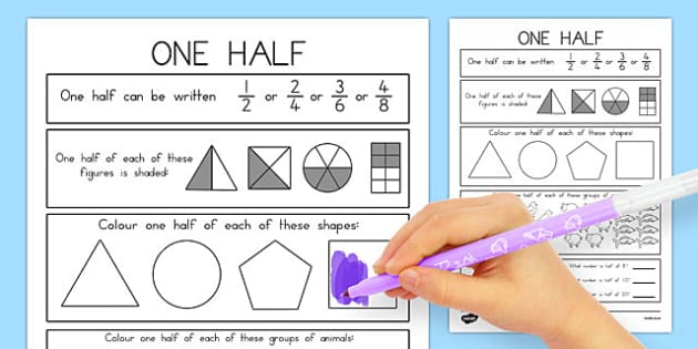 Fractions Halves Worksheet / Worksheet (teacher made)