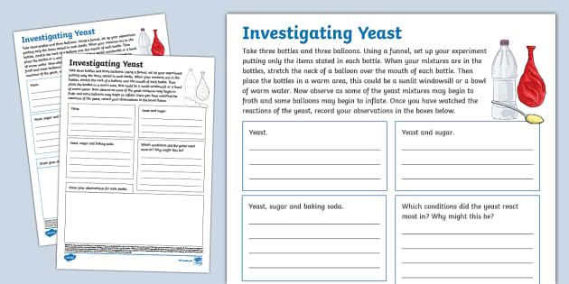 Investigating Yeast Worksheet (professor feito) - Twinkl Investigating Yeast Worksheet (professor feito) - Twinkl