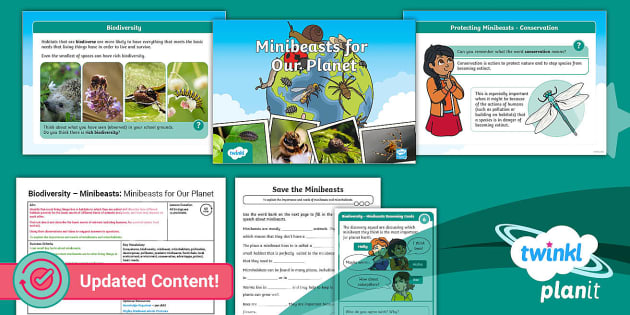 Science: Biodiversity - Minibeasts: Minibeasts for Our Planet Year 2 ...