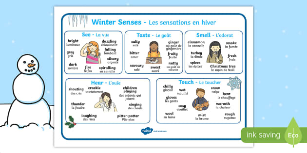 Winter Senses Word Mat English/French (creat de profesori)