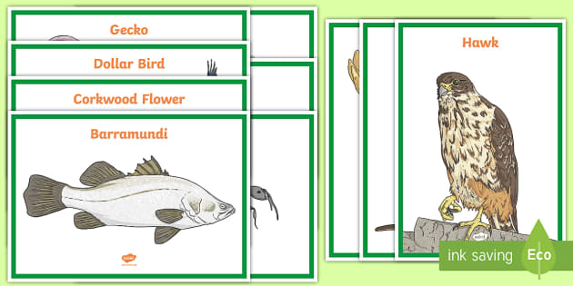Aboriginal Australian Totems Posters | Teacher Made - Twinkl