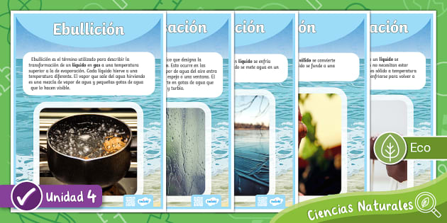 Póster Cambios de estado en la materia (teacher made)