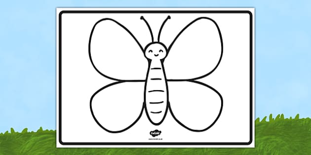 Large Butterfly Outline - Colouring Template (teacher made)