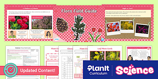 Y6 Living Things and Their Habitats Flora Field Guide Lesson 3