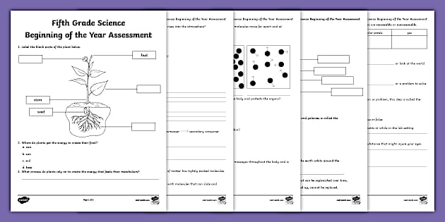 Fifth Grade Beginning of the Year Science Assessment