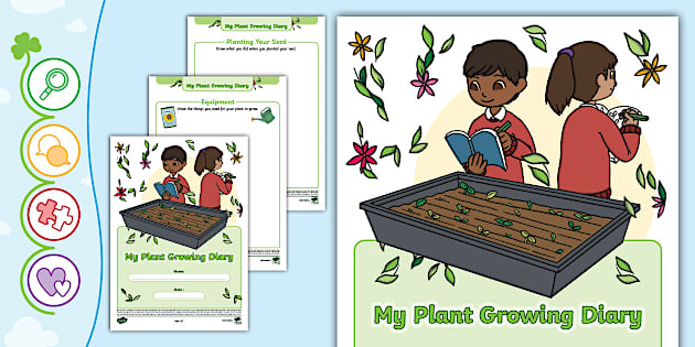 My Plant Growing Diary (teacher made) - Twinkl