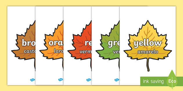 Colour Words on Autumn Leaves English/Portuguese - Twinkl