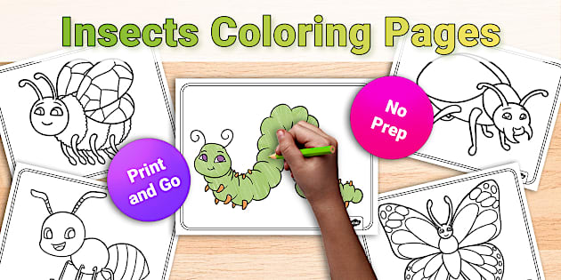 Cute Insects Coloring Pages (teacher made) - Twinkl