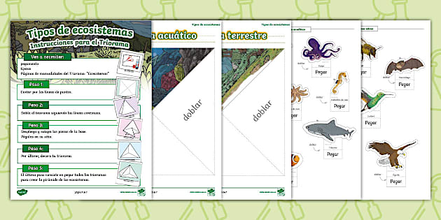 Tipos de ecosistemas: acuático, terrestre - Twinkl Colombia