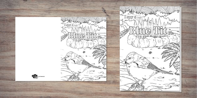 British Garden Birds Colouring Card Blue Tit | Twinkl Party