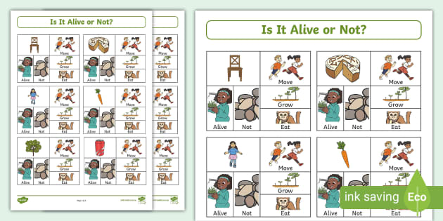 Alive or Not? Worksheet (teacher made) - Twinkl