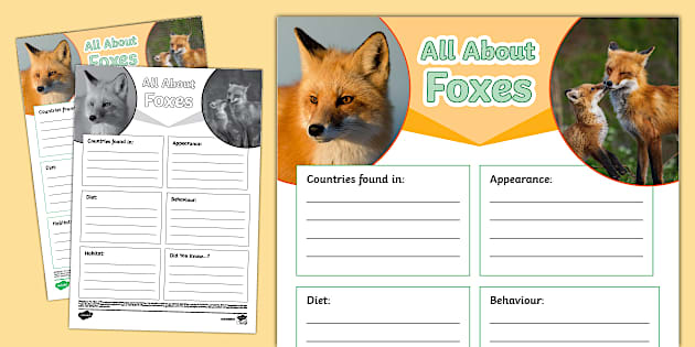 All About Foxes Fact File Template (teacher made) - Twinkl