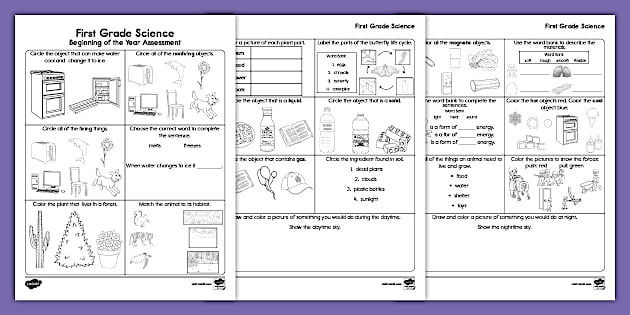 First Grade Beginning of the Year Science Assessment