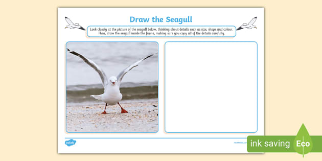 Draw the Seagull Art Activity, Draw a Seagull, At the Beach