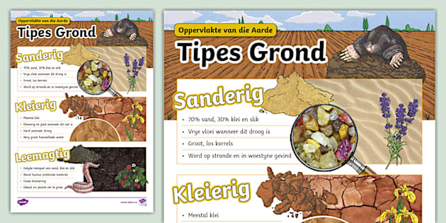 Gr 5 NW Grondtipes Infografika - Twinkl