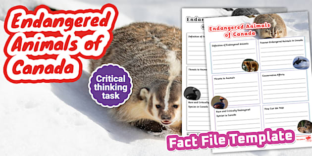 Endangered Animals of Canada Fact File Template