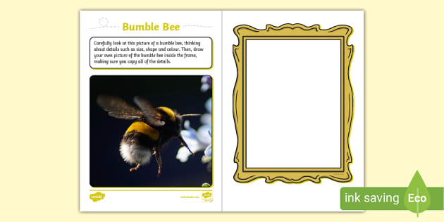 * NEW * Bumble Bee Drawing Activity | KS1 Art