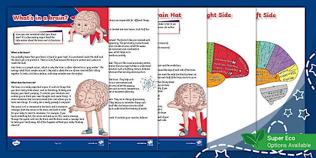 What's in a brain? Make a Brain Hat (Ages 7–11)