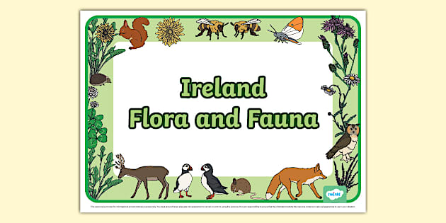 Ireland Flora and Fauna Editable Display Poster - Twinkl
