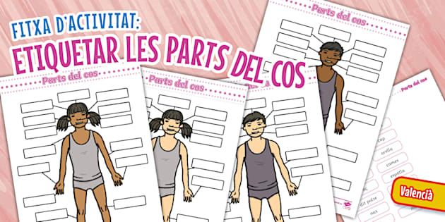 Fitxa d'activitat: Etiquetar les parts del cos - Valencià