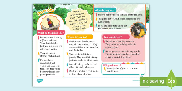 Parrots Fact File - Twinkl - KS1 (nauczyciel wykonał) Parrots Fact File - Twinkl - KS1 (nauczyciel wykonał)