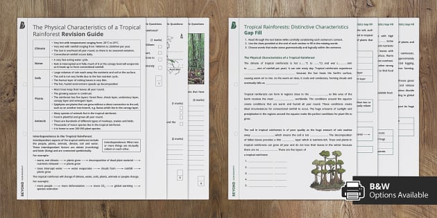 AQA-Style Tropical Rainforests Revision Activity Pack